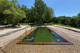 Organic Pools by David Pagan Butler | Substack