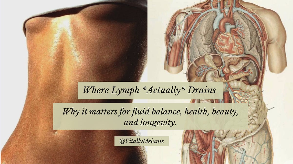 Lymphatic Drainage: Where lymph *actually* drains and why it matters ...