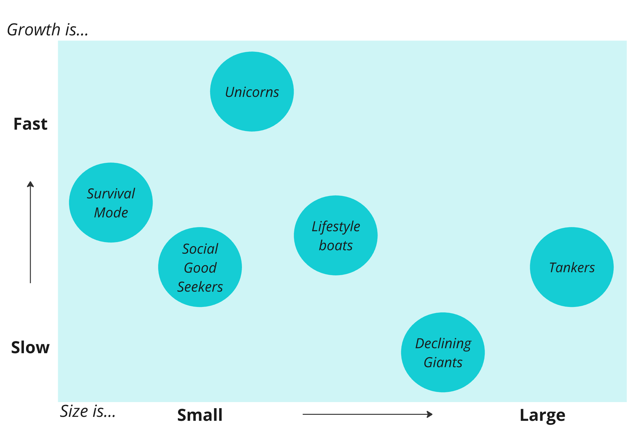 The types of companies you can work for and what they do for your career