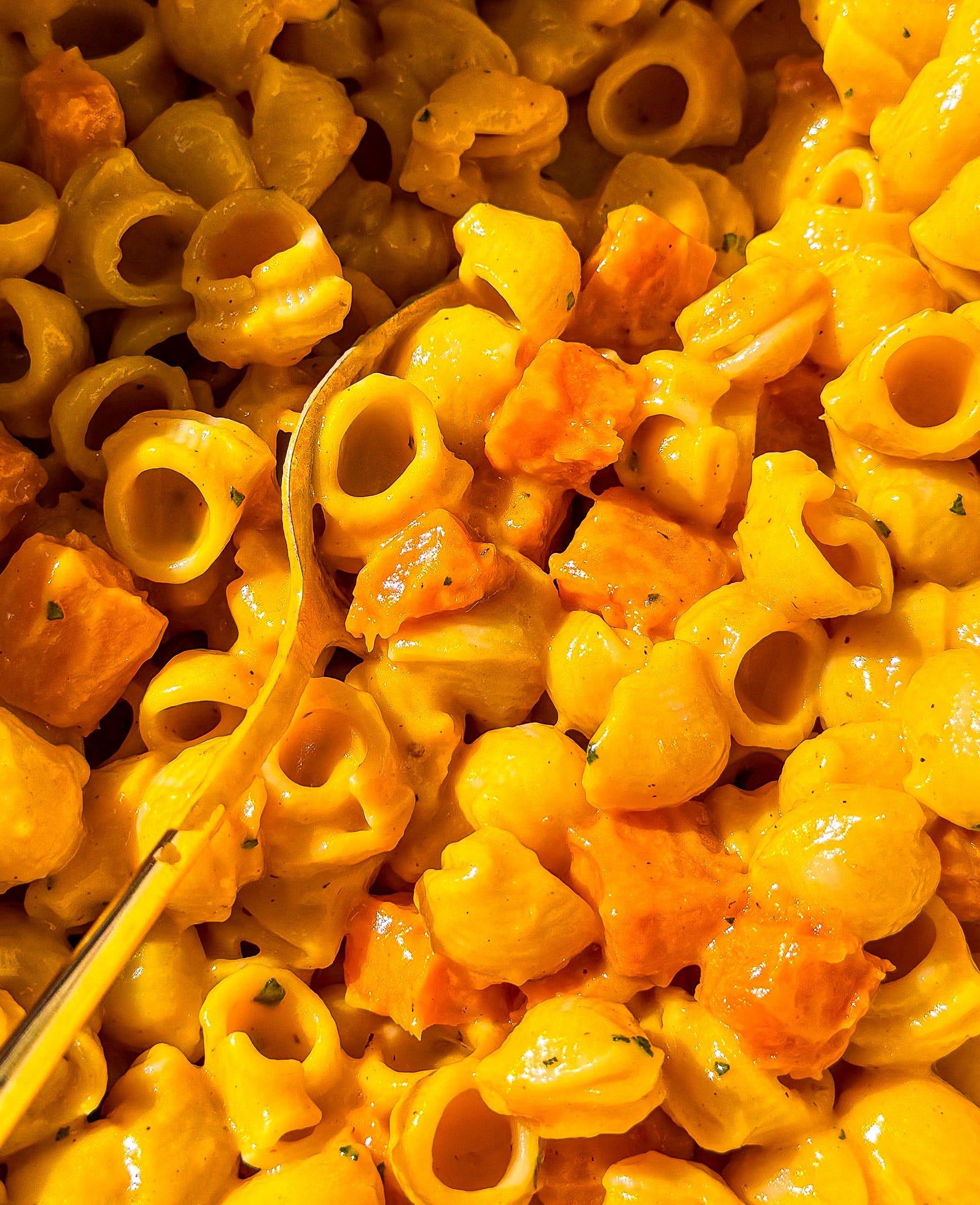 roasted squash pasta with gruyère breadcrumbs