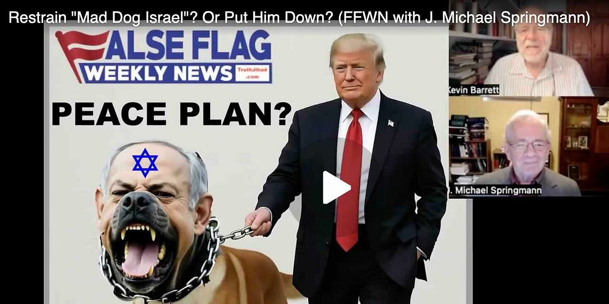 Restrain the Mad Dog? Or Put Him Down? - by Kevin Barrett