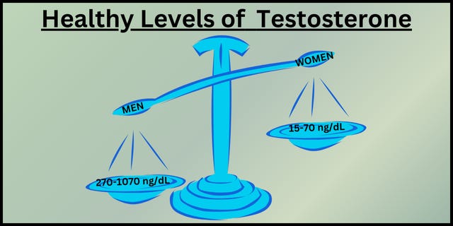 The Essential Roles of Testosterone: Understanding Its Importance for ...