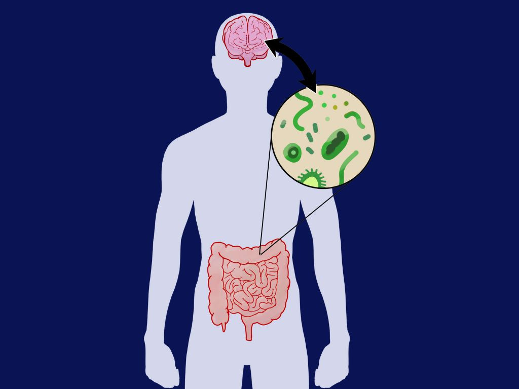 Is your gut controlling your mood?