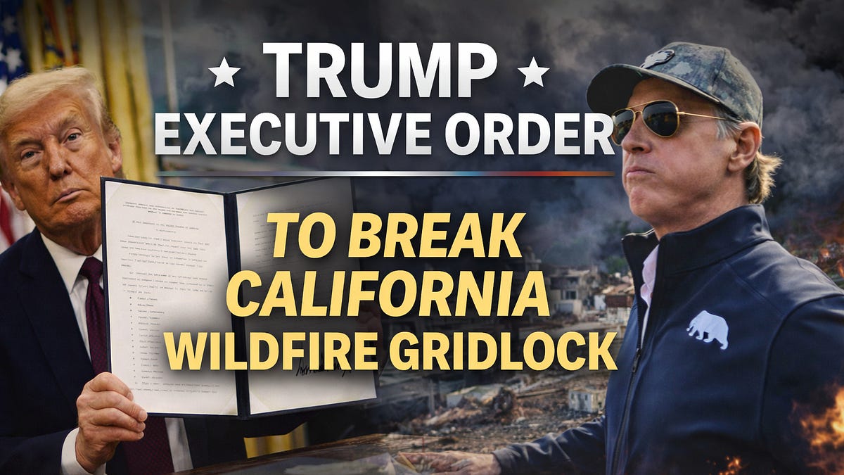 The Executive Order That Changed the Equation: Trump Moves to Break ...