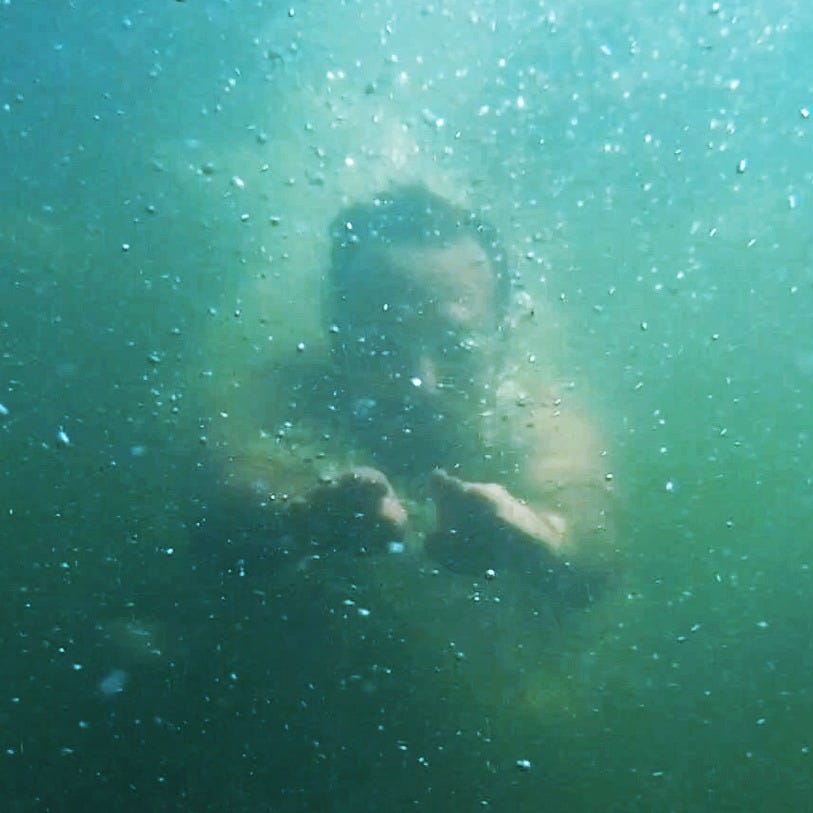 The Pilgrim's Plunge | Substack