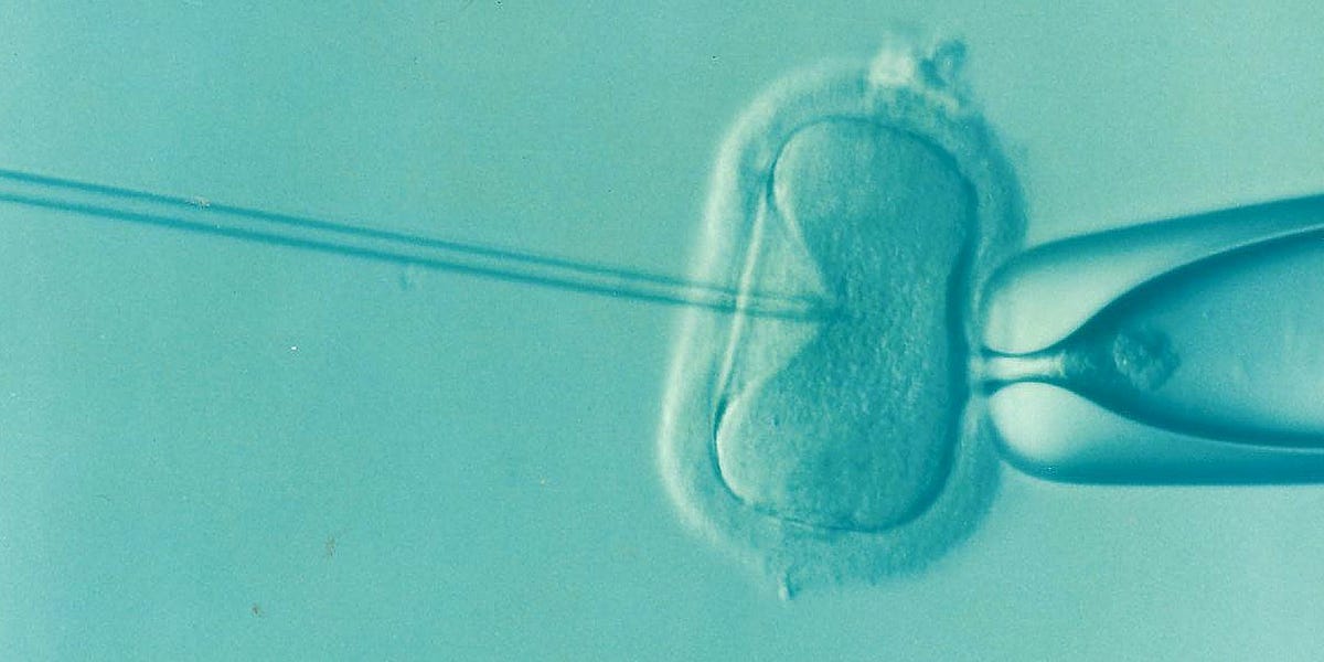 The Dangers of Surrogacy gone Wild