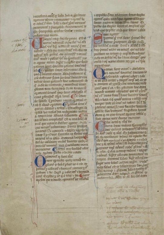 Medicine in Medieval Europe - by Jordan Nuttall