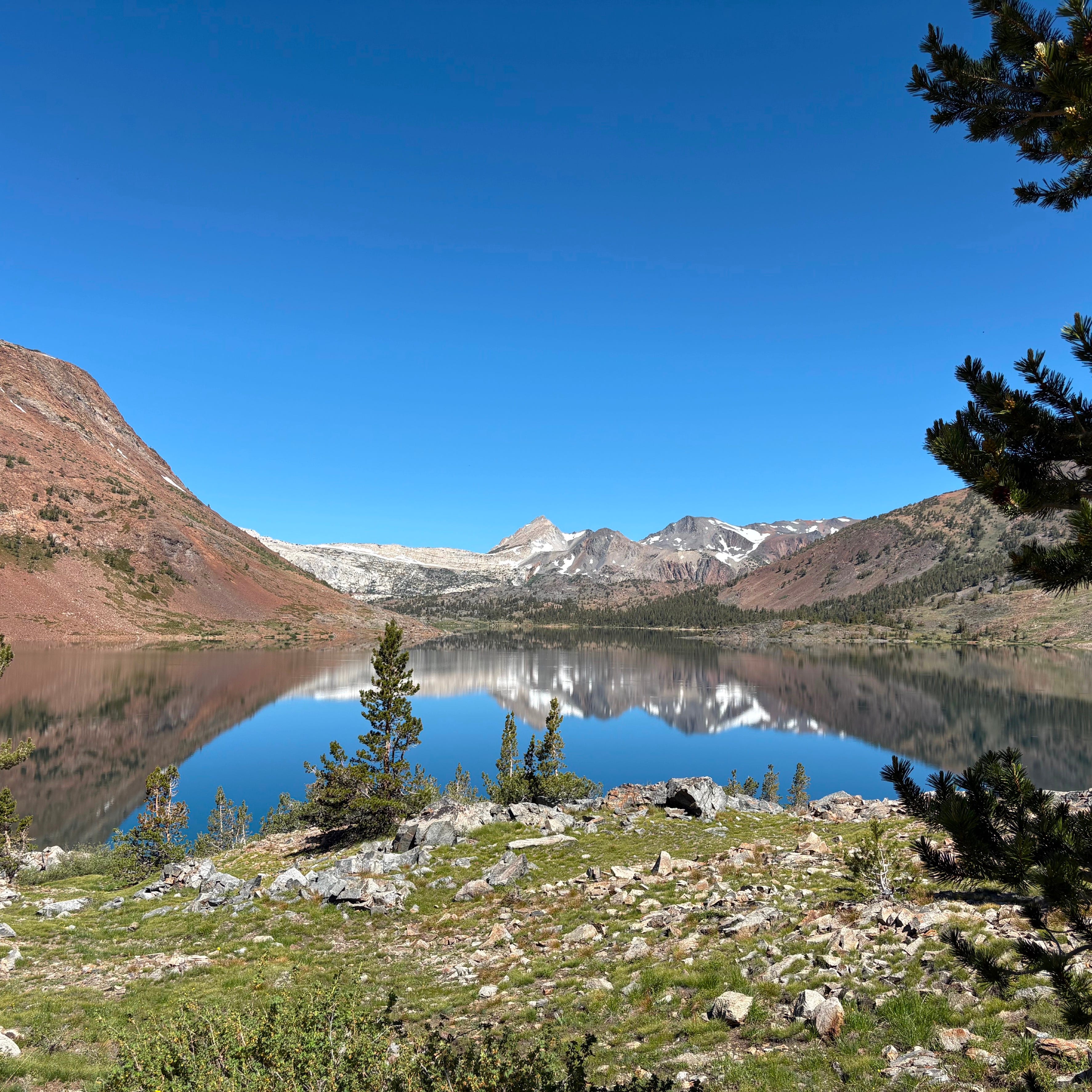 AuthorSuzanne14 | Substack