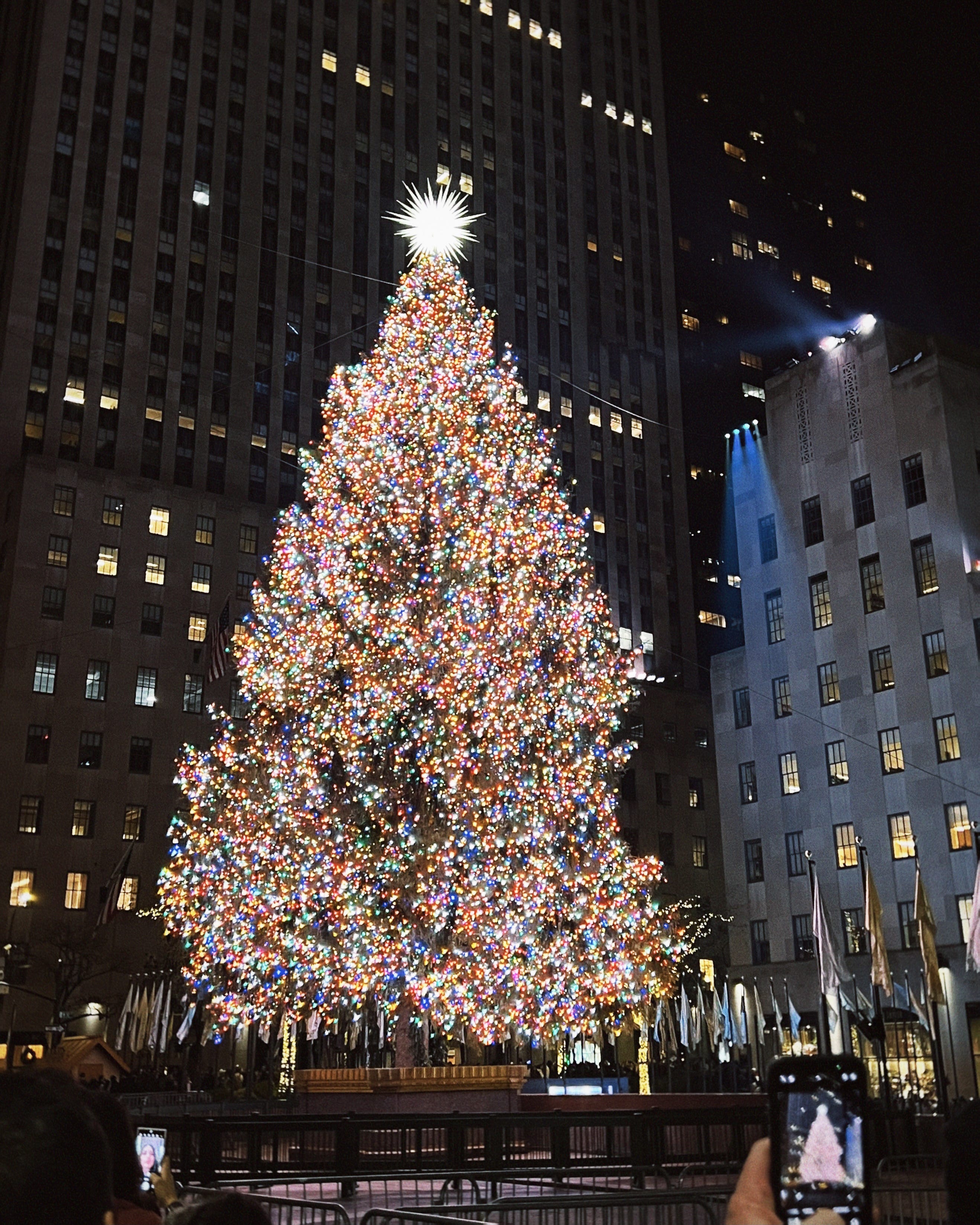 The Holiday Survival Guide for Wellness Girlies
