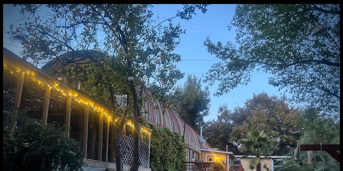 Case Study: Wild Seeds Ranch - by Nicole Reese