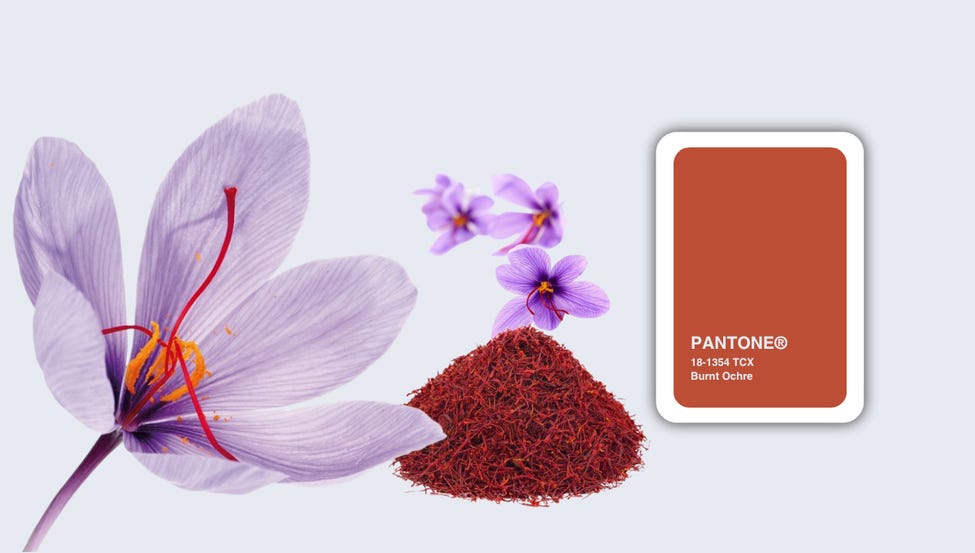 saffron pantone