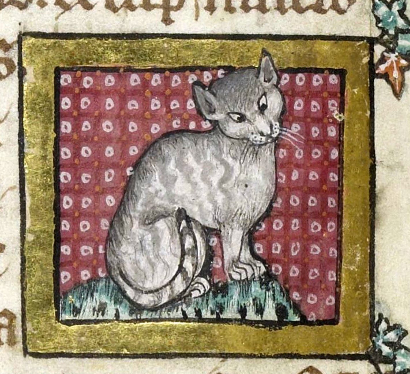 12 Medieval Cats to Keep You Company This Winter