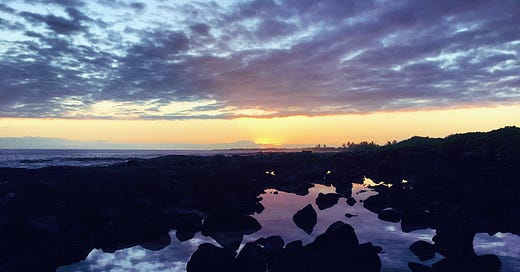 The Terrible, Beautiful Truth | McCall Erickson | Substack