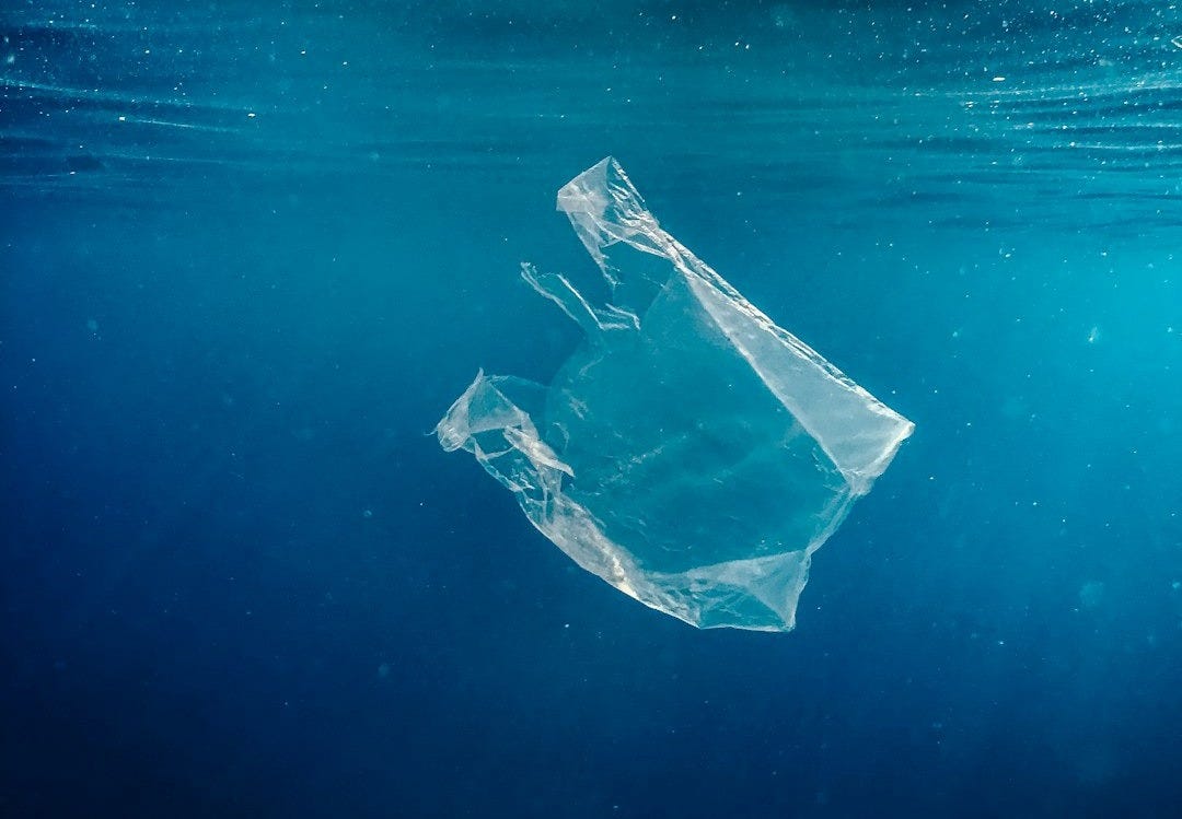 ‘Zombie Cells’ - Senescence, Inflammaging and Senolytics!