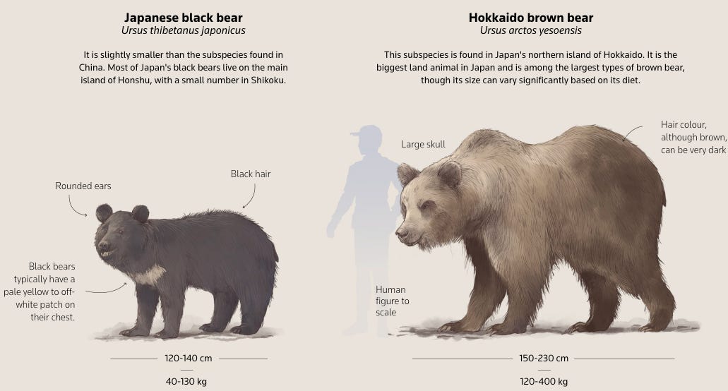 Rewilding in Japan - by Daniel Martin Eckhart