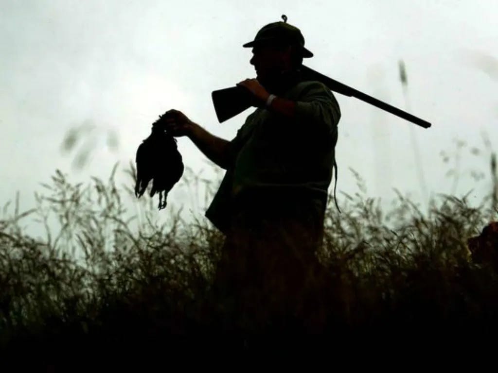 Why is hunting as a sport perfectly legal, but animal abuse is not?