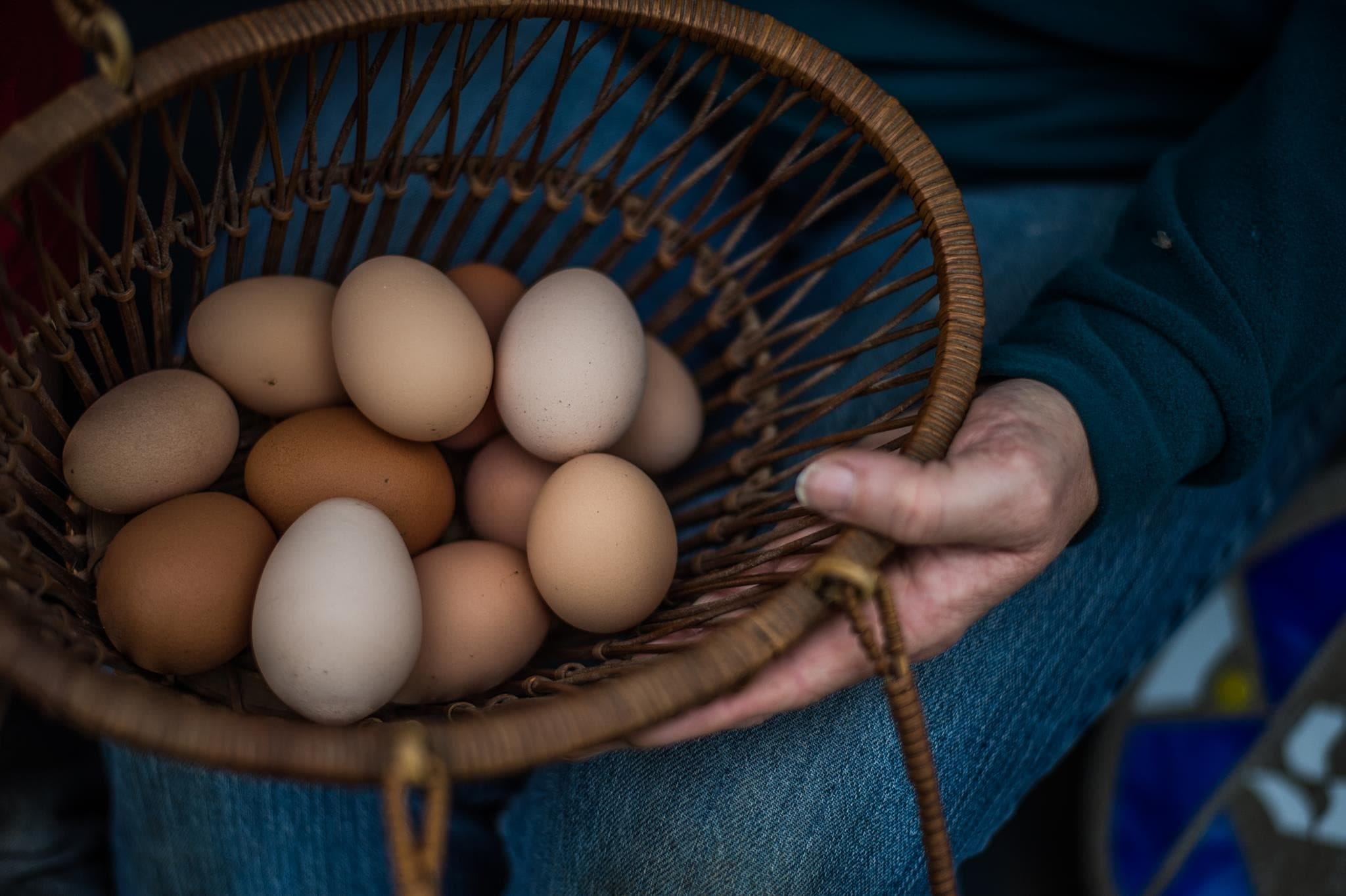 Real Food from a Real Farm, Eating through the Seasons by Cyndi Stuart ...