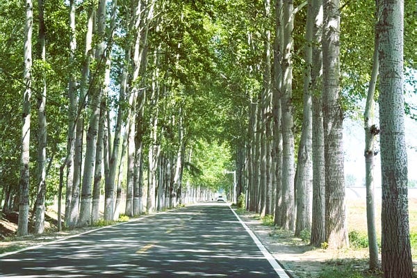 China21 Journal | Gordon Dumoulin | Substack