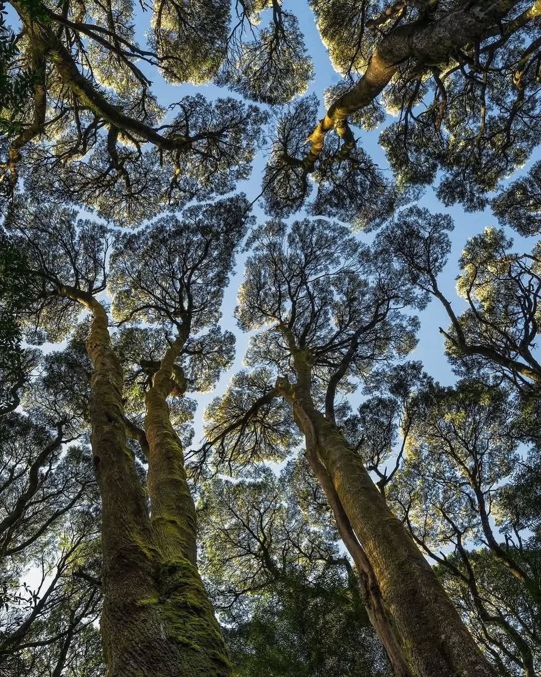 The Recession Chef (@therecessionchef): "Are you tired of paying an arm and a leg to make ...