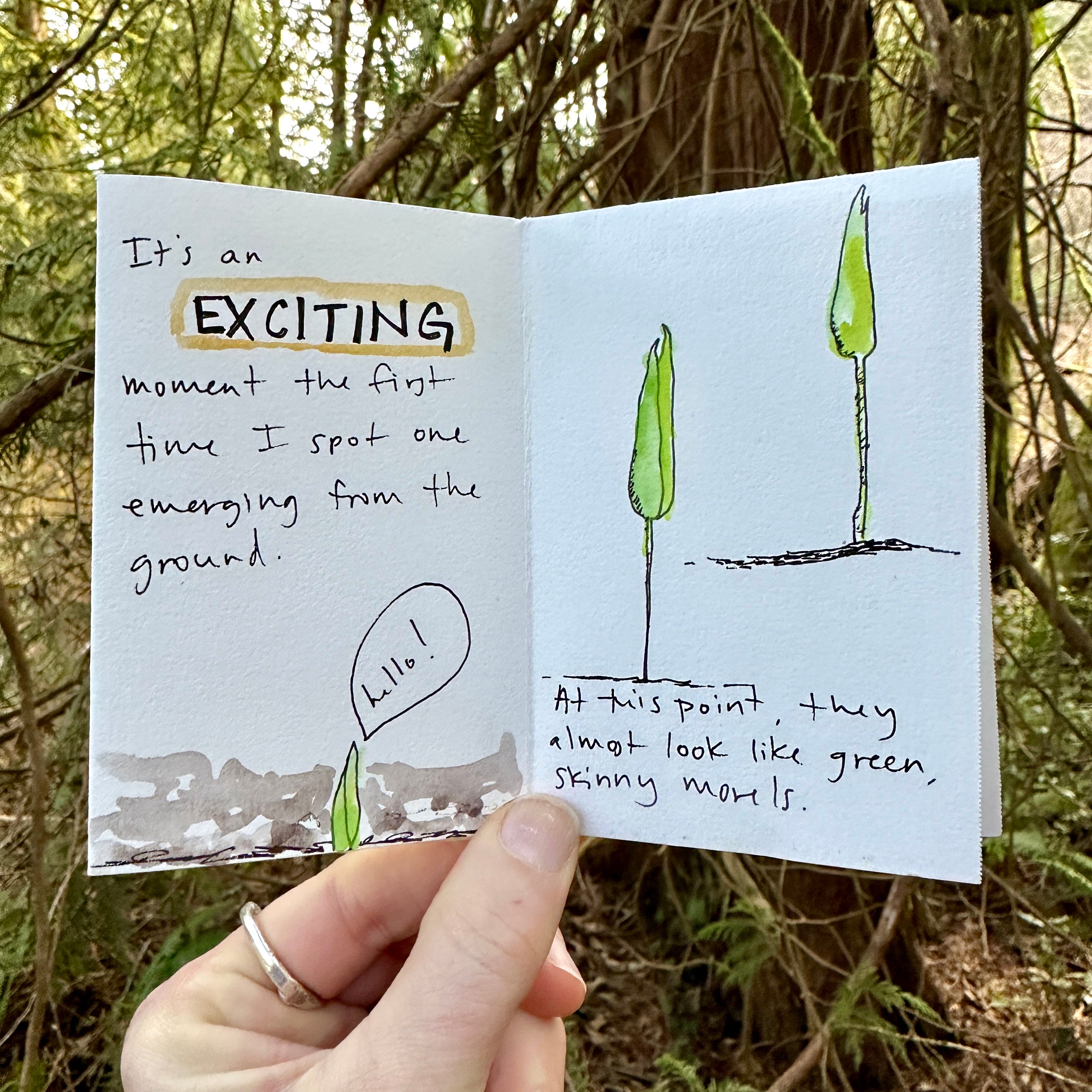 The Power of Zines - Creative Fuel with Anna Brones