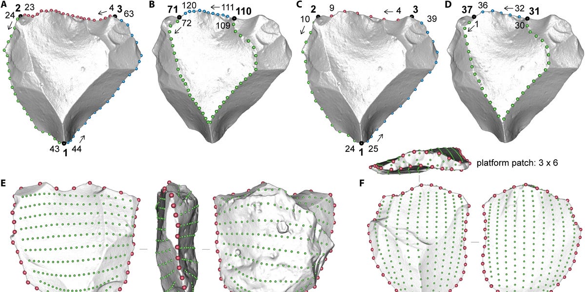 Rethinking Levallois: A 3D Look at the Precision of Middle Stone Age ...