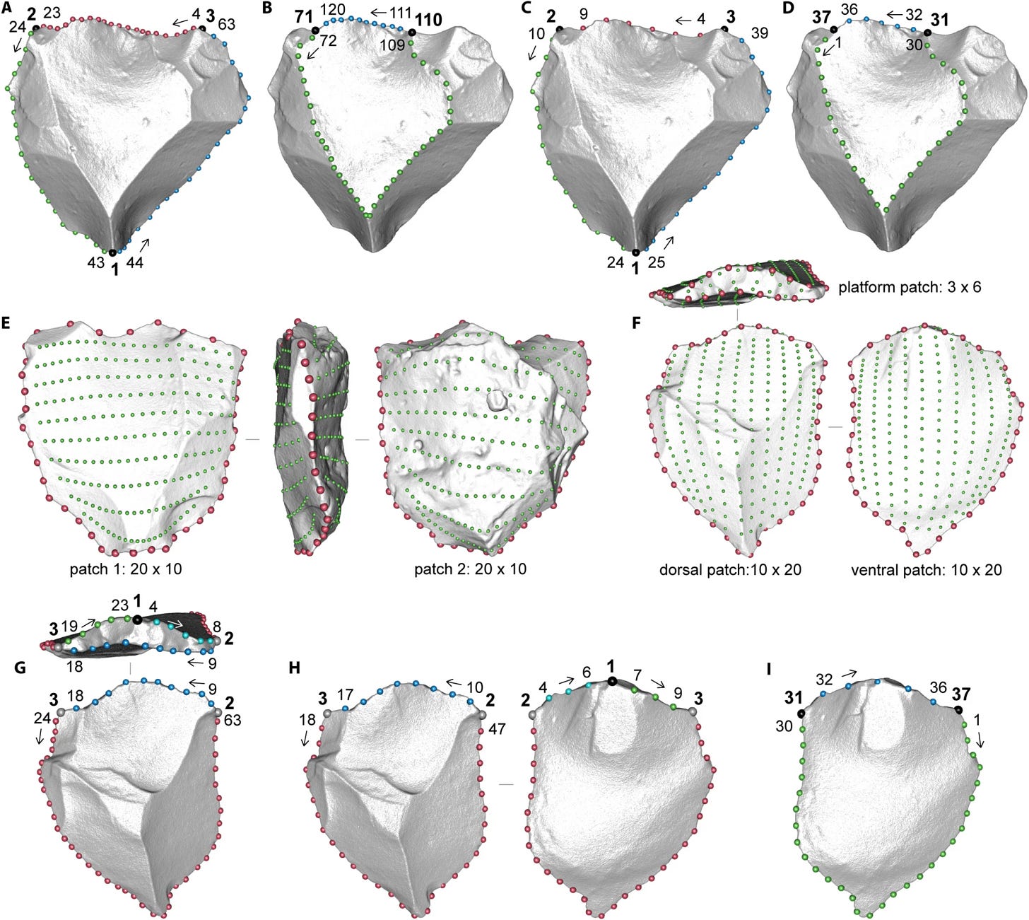 Rethinking Levallois: A 3D Look at the Precision of Middle Stone Age ...