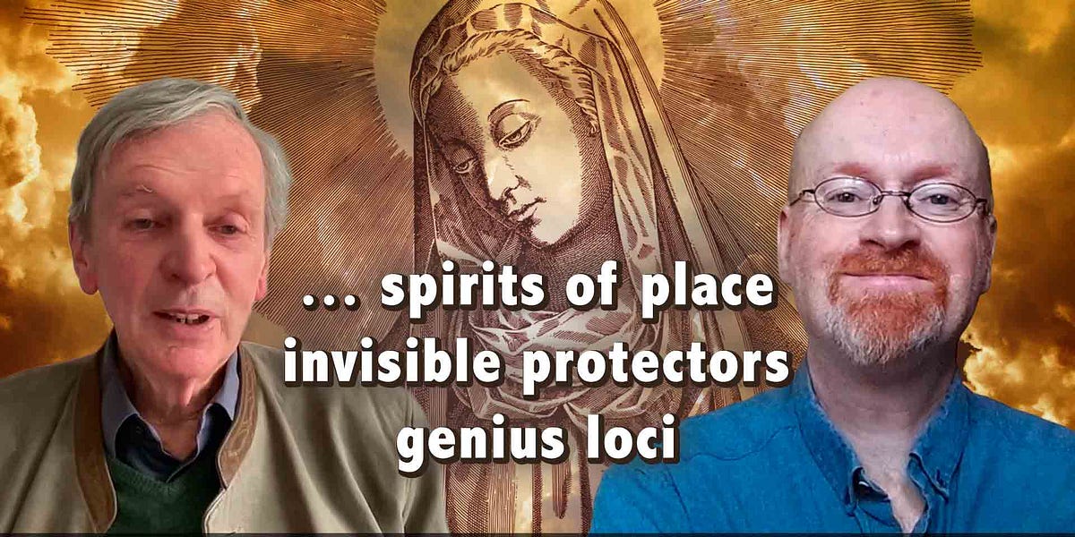 Patron Saints - by Rupert Sheldrake and Mark Vernon
