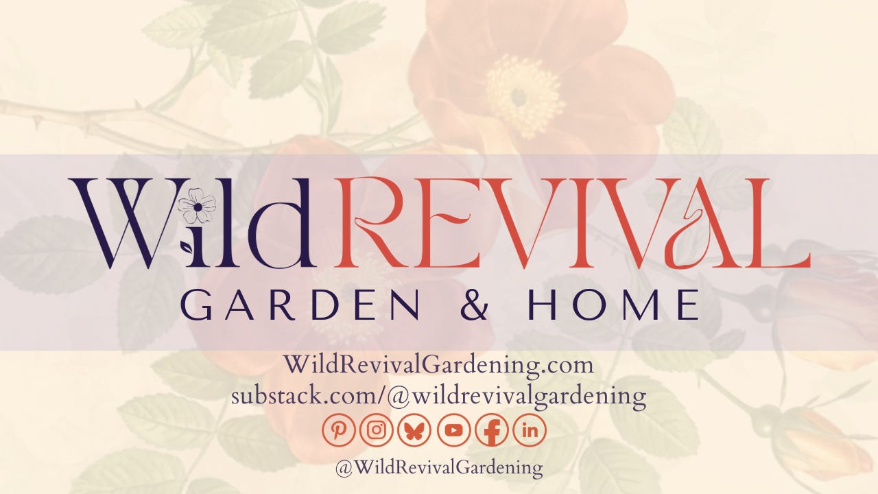 DIY Ollas and Smart Watering Tips for a Thriving, Eco-Friendly Garden