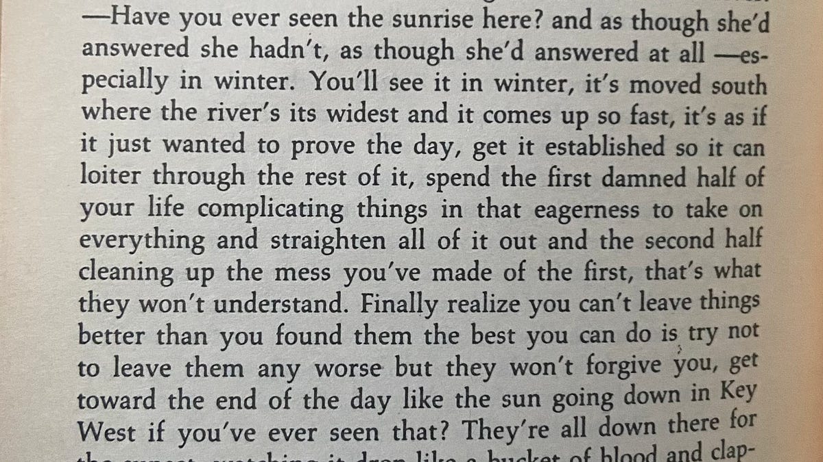 william gaddis carpenter's gothic