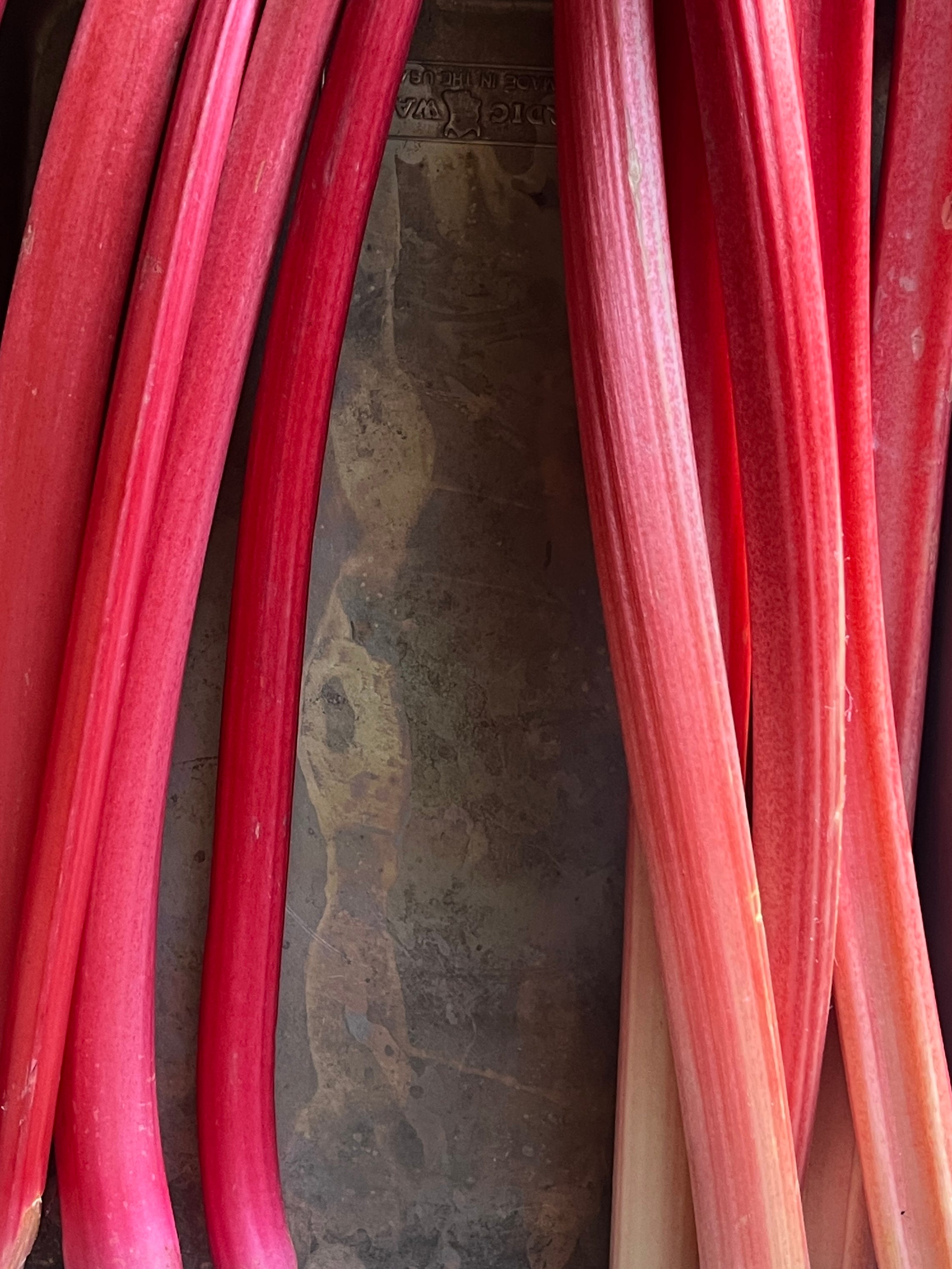 Kitchen Project #128: Everything Rhubarb - by Nicola Lamb