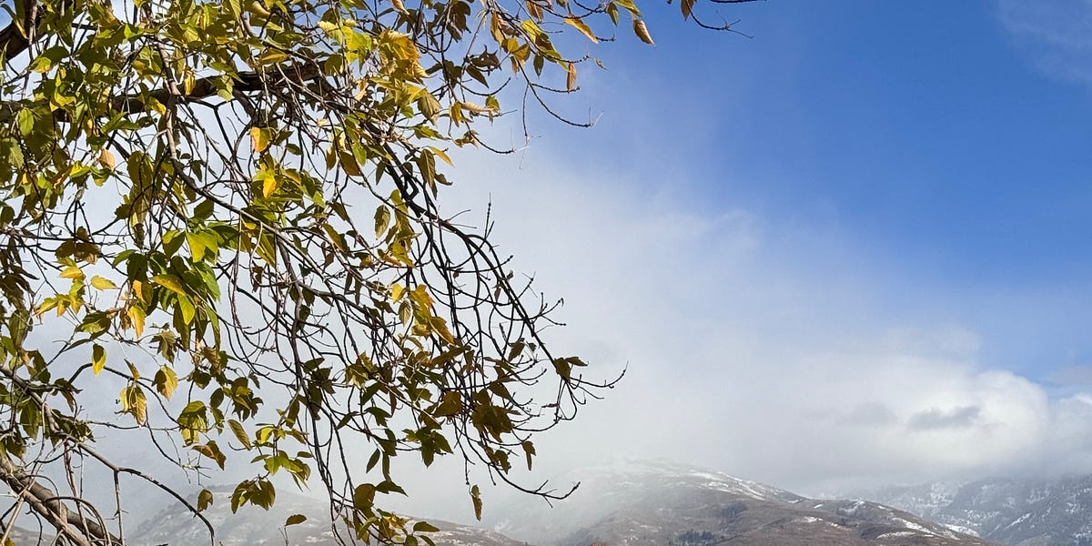 Behind the Cover - by Melodi Farley - Melodi’s Substack