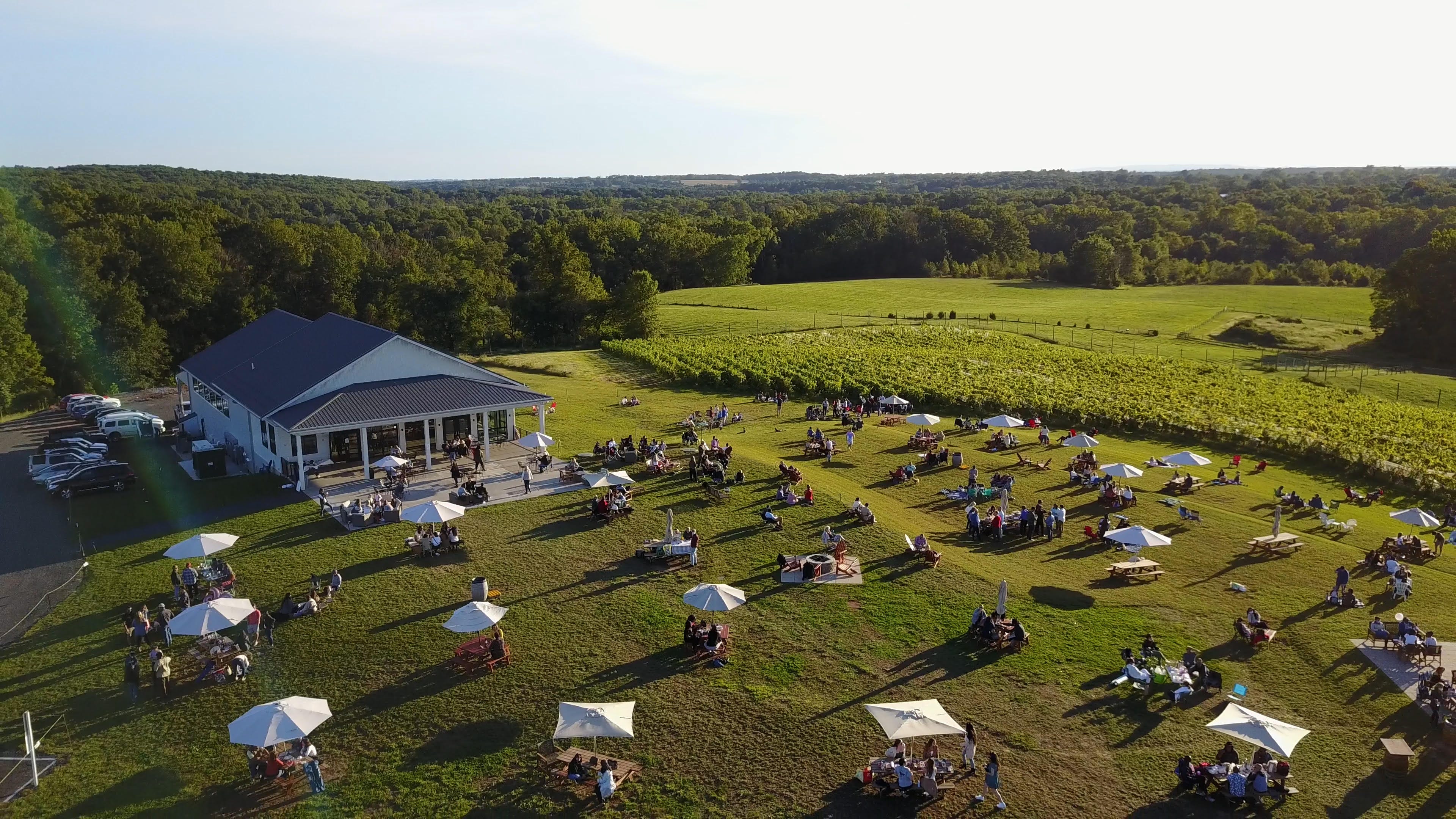 In the glass: Windridge Vineyards and a Maryland tasting