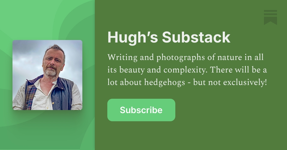 Hugh’s Substack | Hugh Warwick | Substack