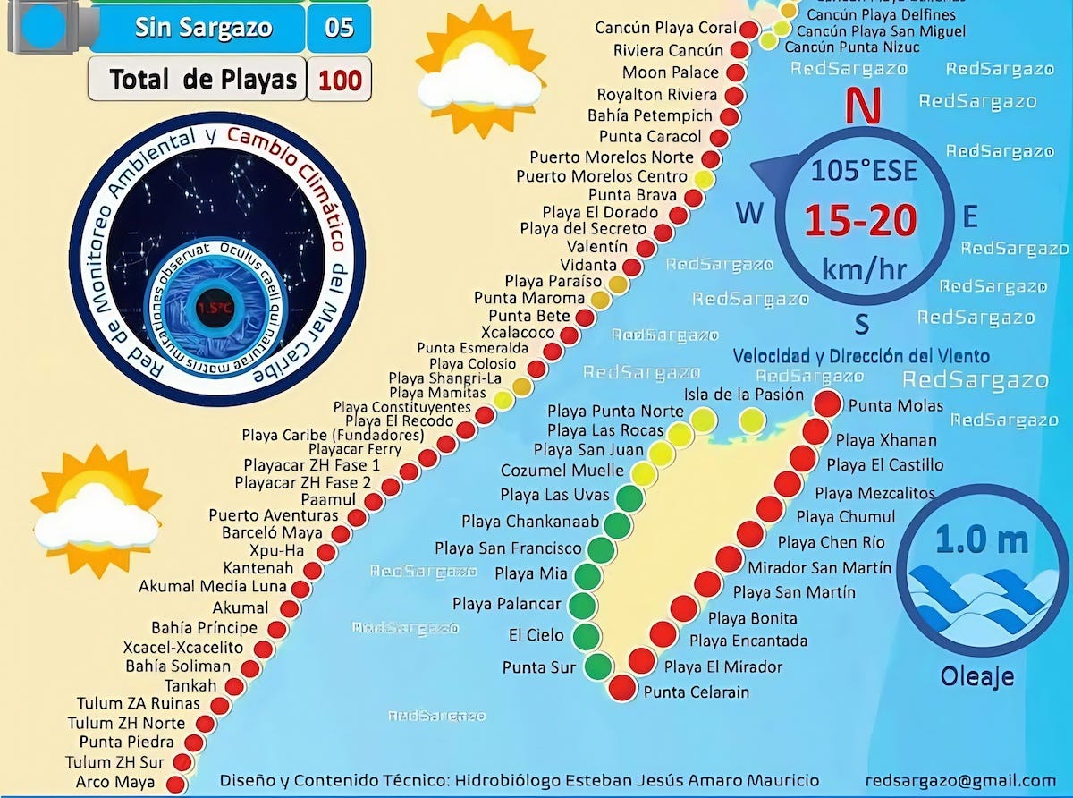 Red de Monitoreo de Sargazo publica mapa crítico: la mitad de las ...