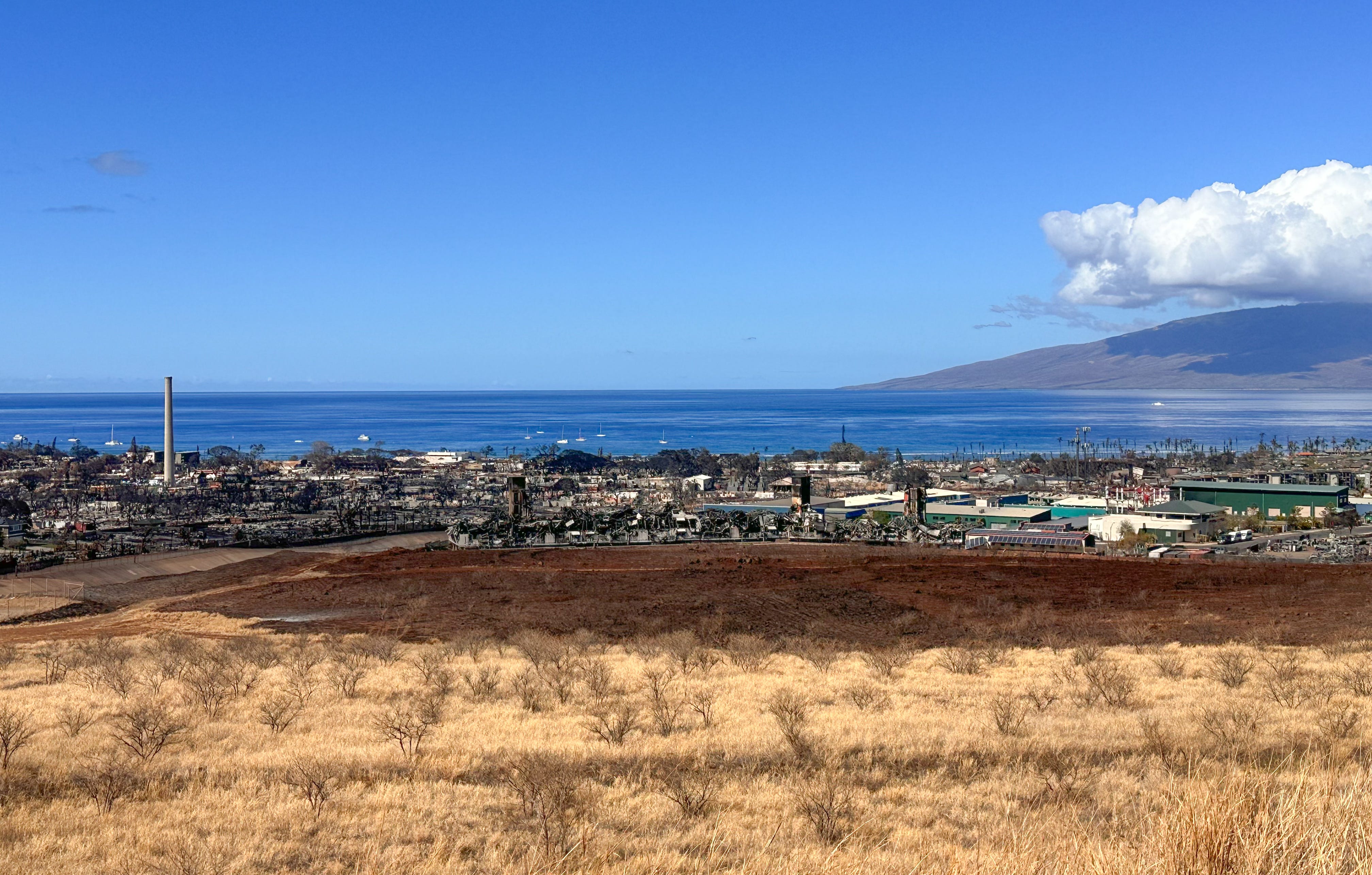 Lahaina - by Maria Nazos - Compass