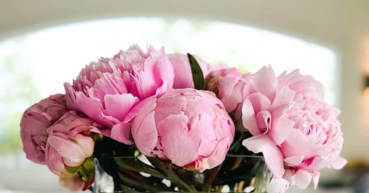 Curated Cravings | Jessica | Substack