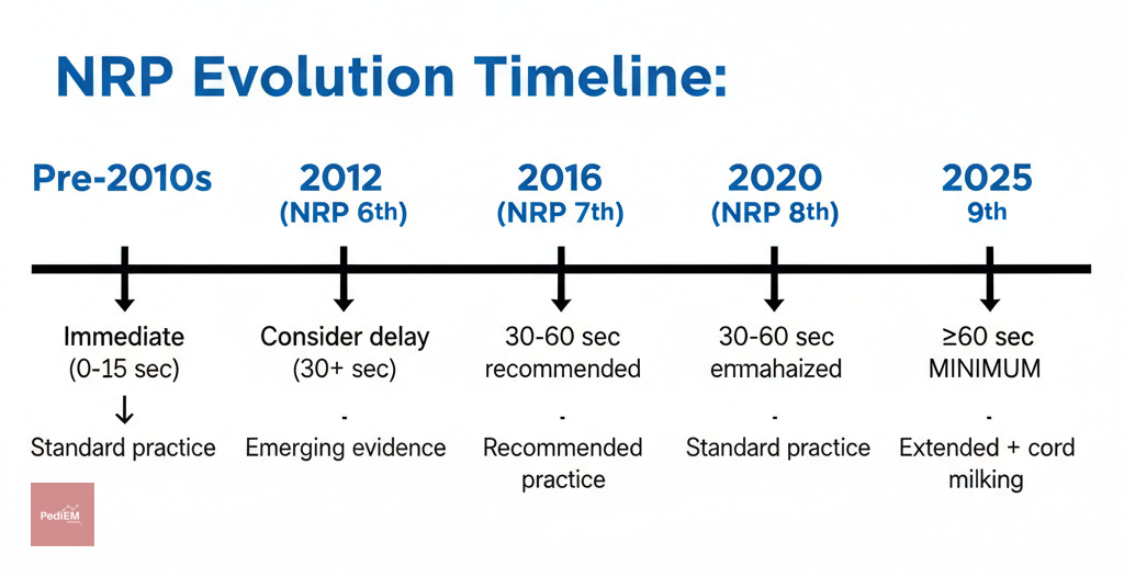 2025 PALS/NRP Guidelines: What Changed & Why It Matters
