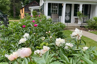 Asking Amy | Amy Dickinson | Substack