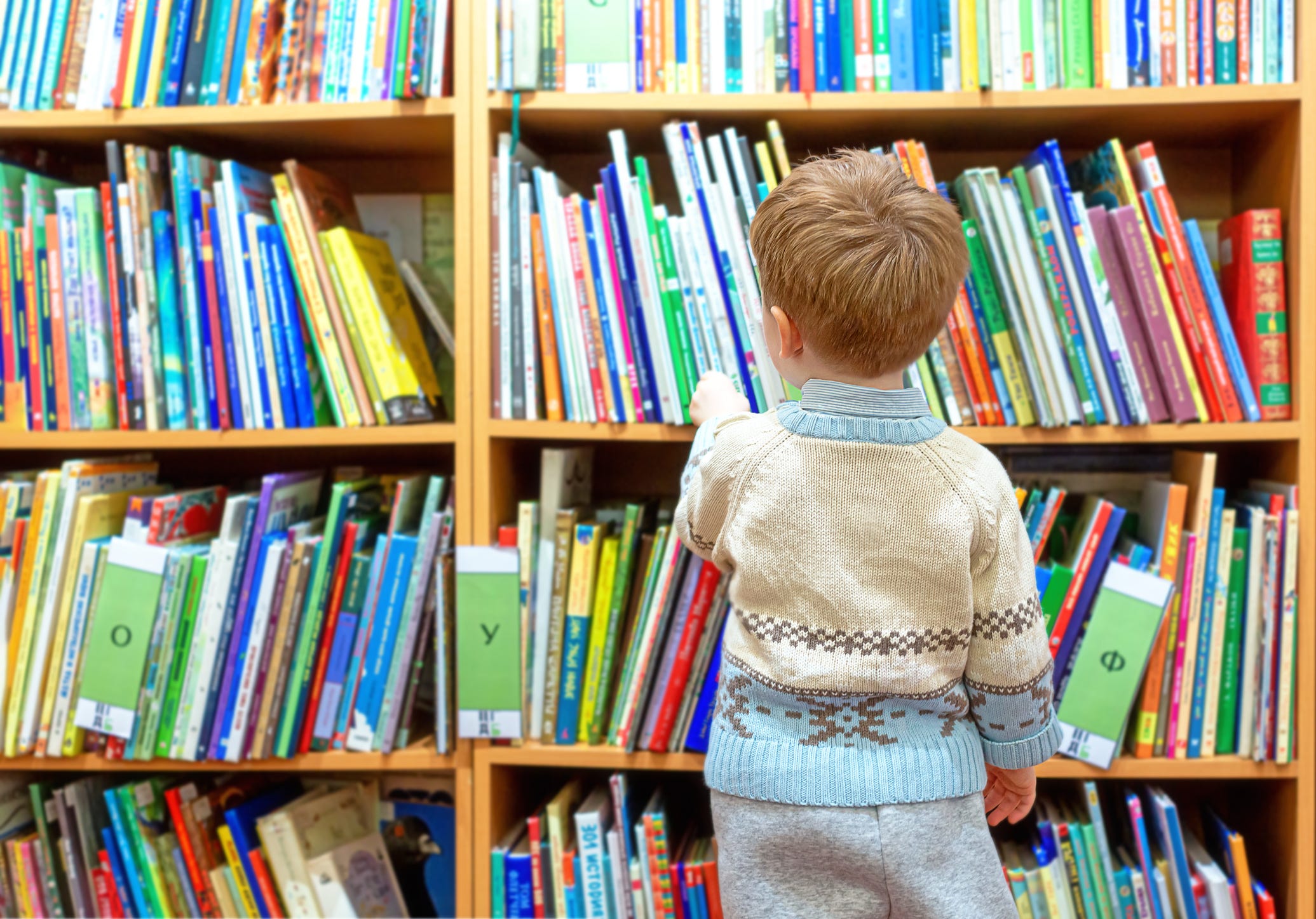 Tennessee public libraries close for Trump-inspired book purge