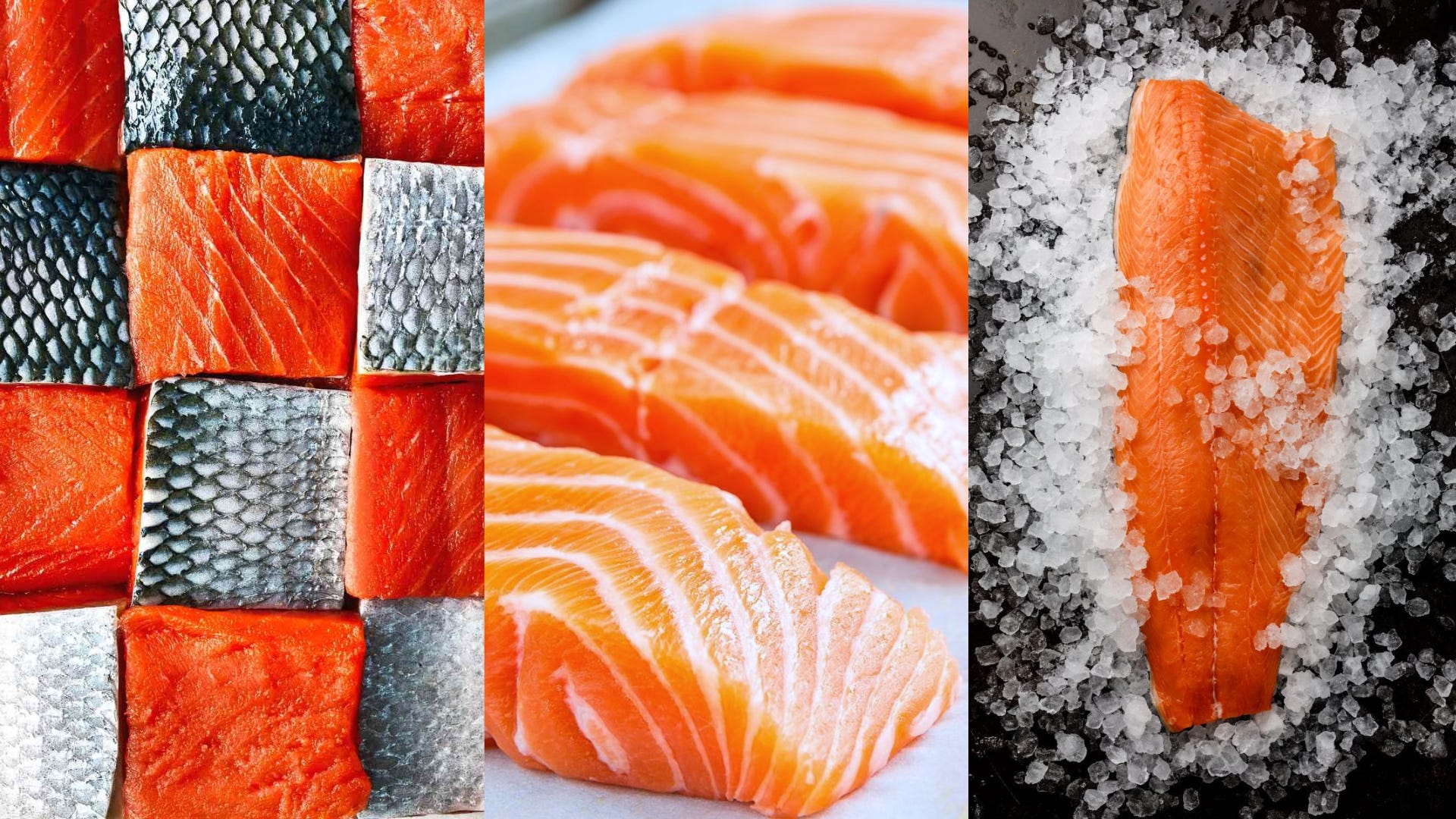 Farmed vs. Wild Salmon: Which Should You Choose?