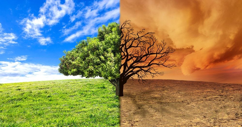 How Extreme Weather Is Reshaping Insurance Models with climate change ...