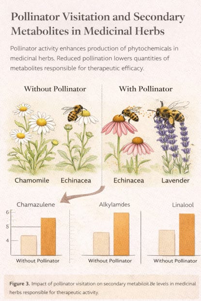 How a Flower Is Pollinated and Why Medicine Depends on It