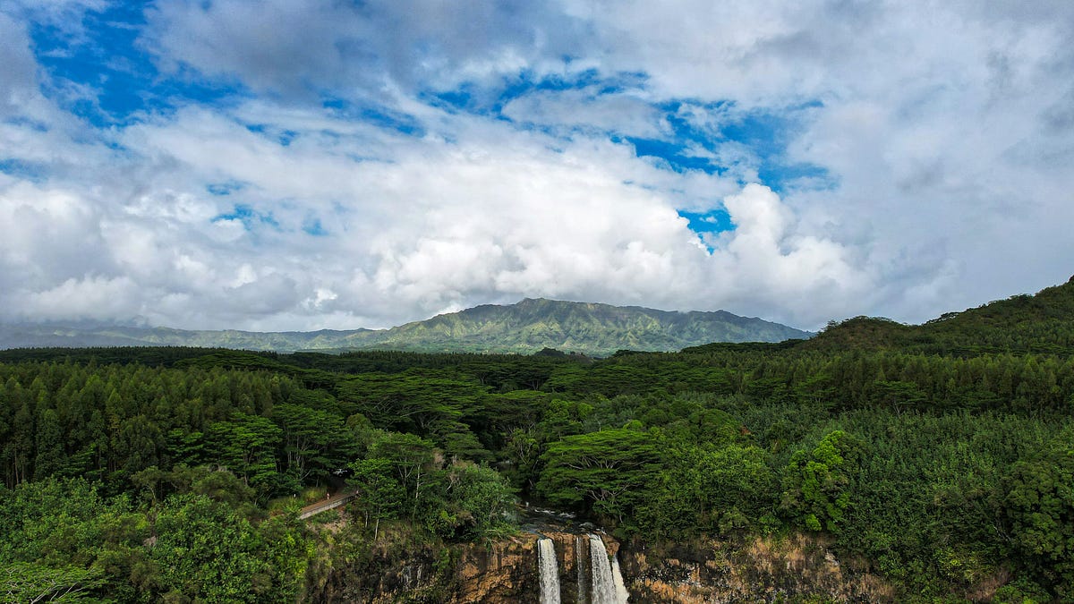 🌿 Sunday Soul Challenge: Taking Care of You