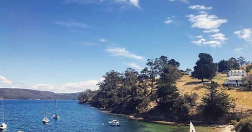 wallflower cordial | Pip Lincolne | Substack