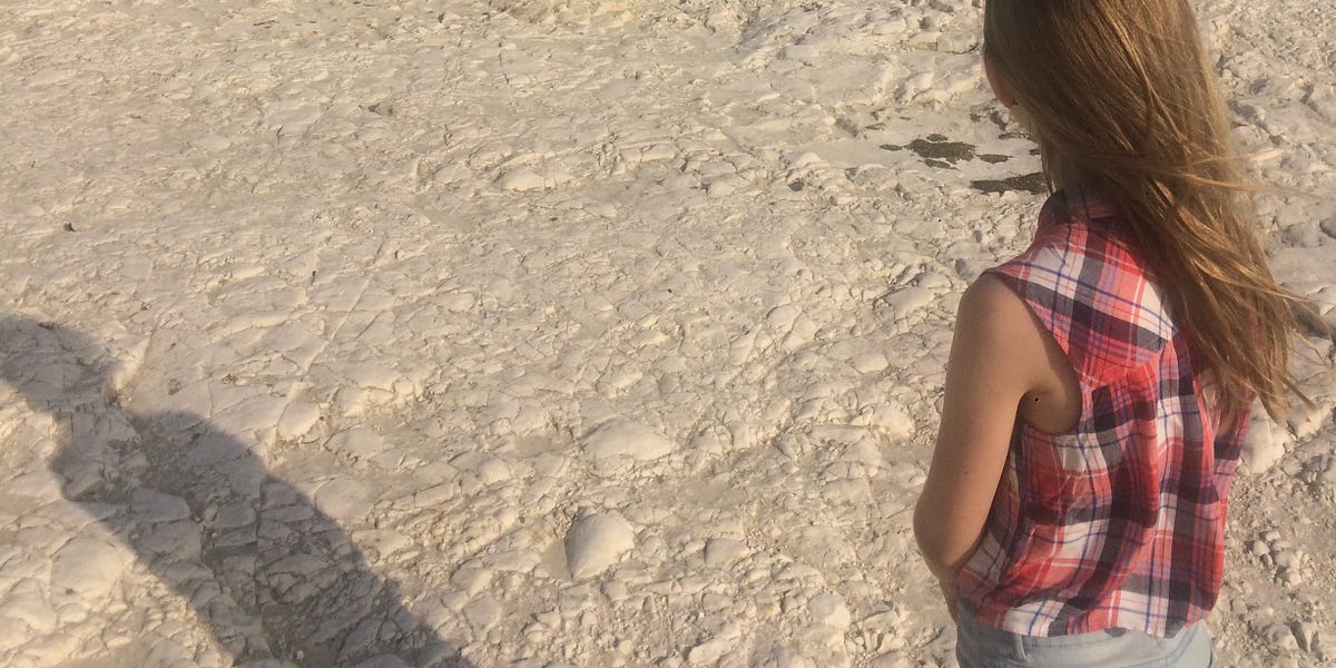 Comments - The Day Britain Stopped Being Britain: 8 December 2000