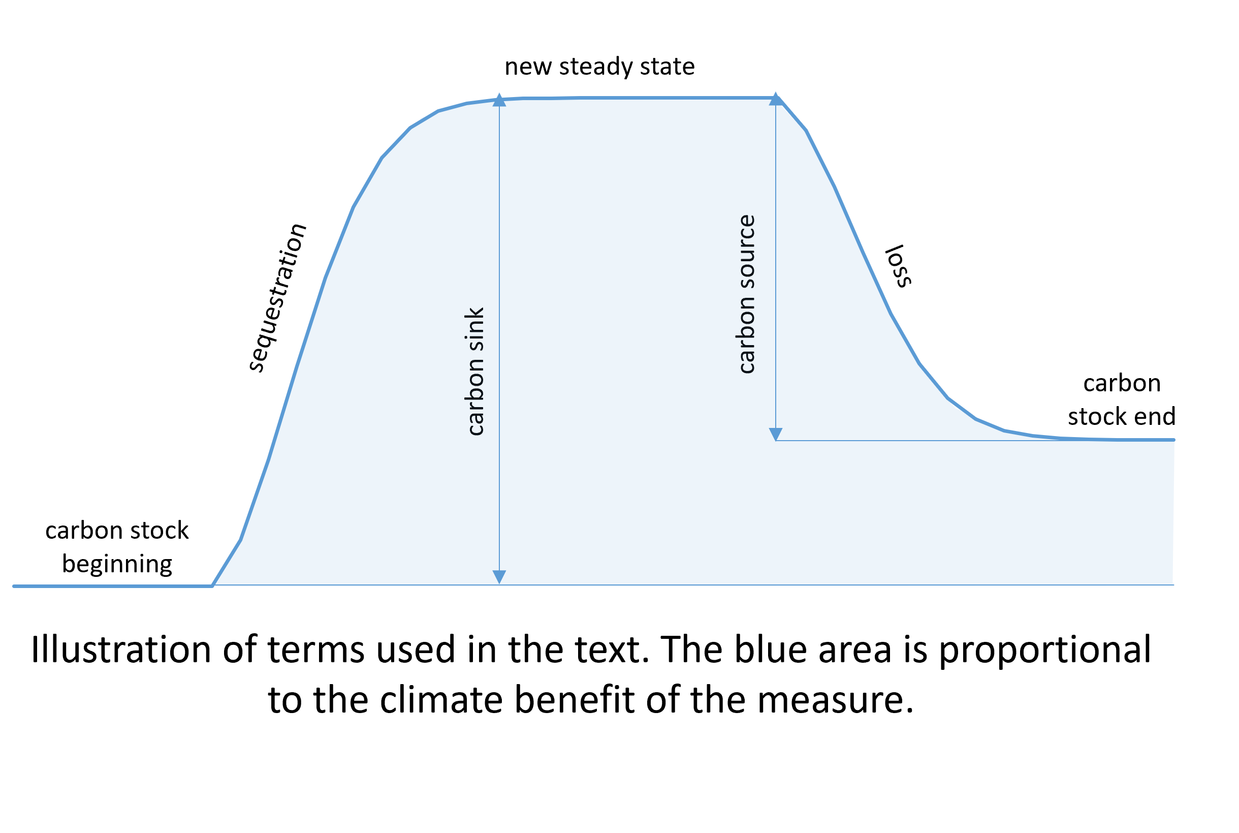 On the difference between carbon stocks and carbon sinks