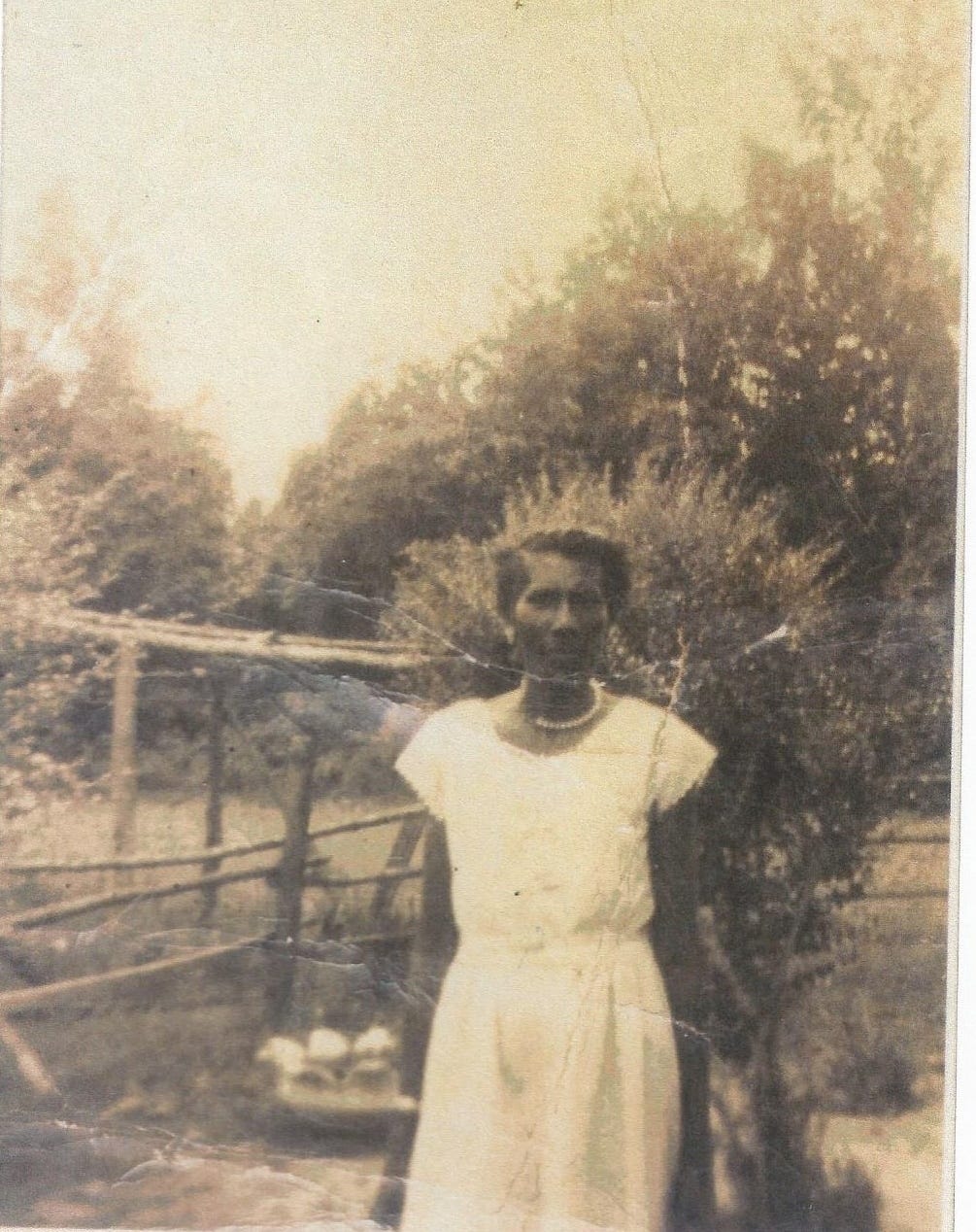 Chandra Kamaria (@literarylightworker): "I was on the Ancestry site the ...