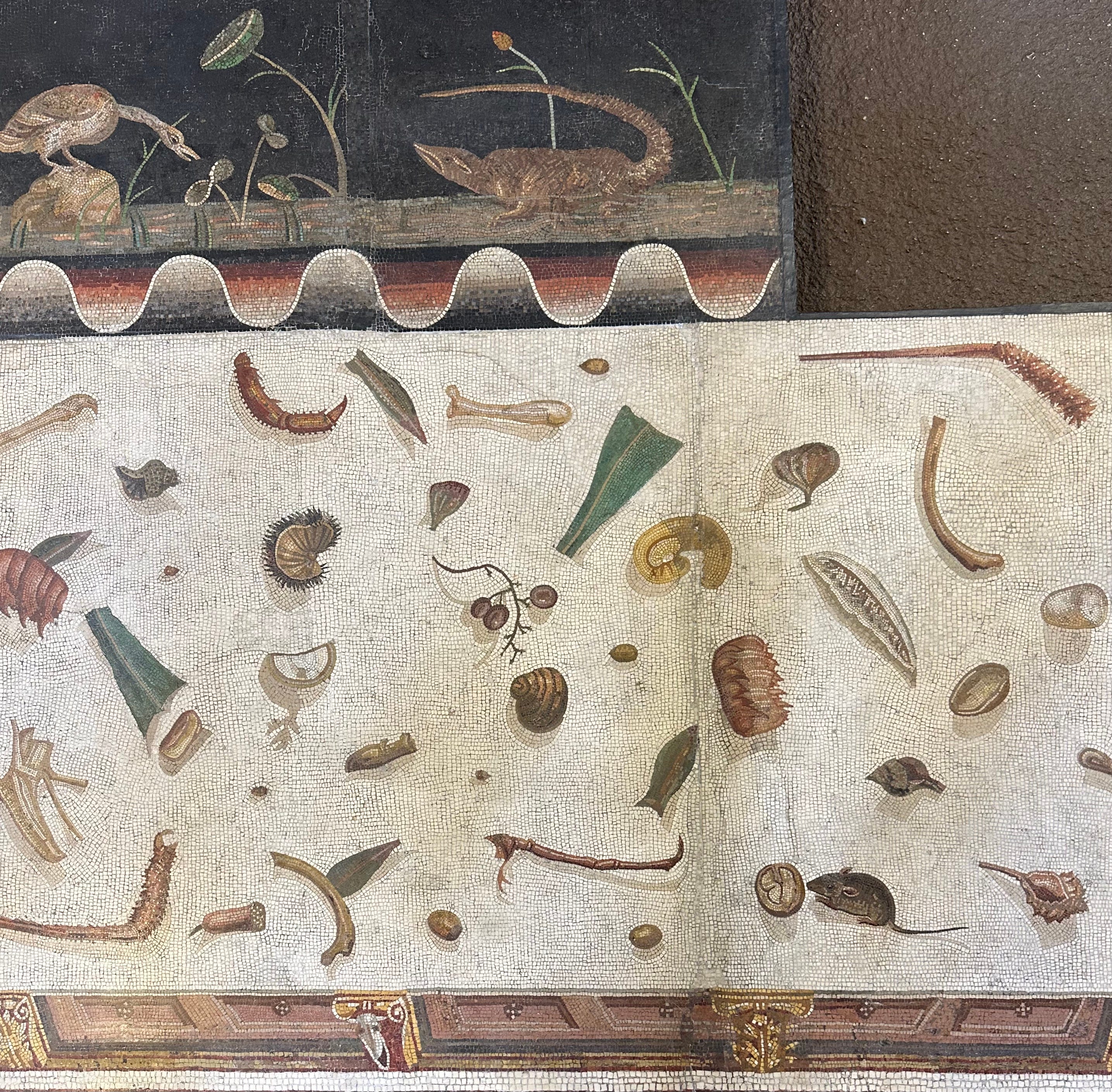 The Unswept Floor Mosaic at the Vatican Museums
