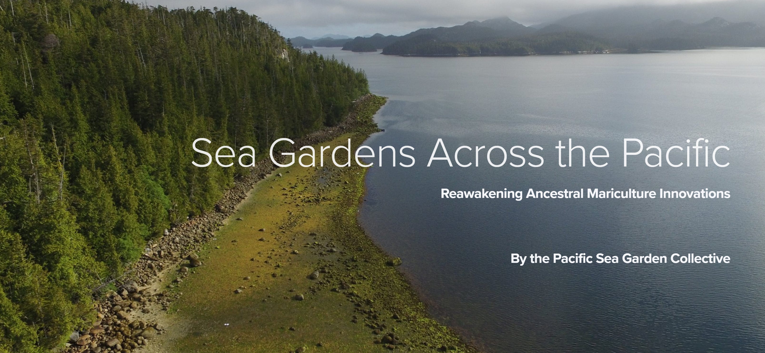 Regenerative Ocean Gardening, Kelp Farming and Marine Permaculture