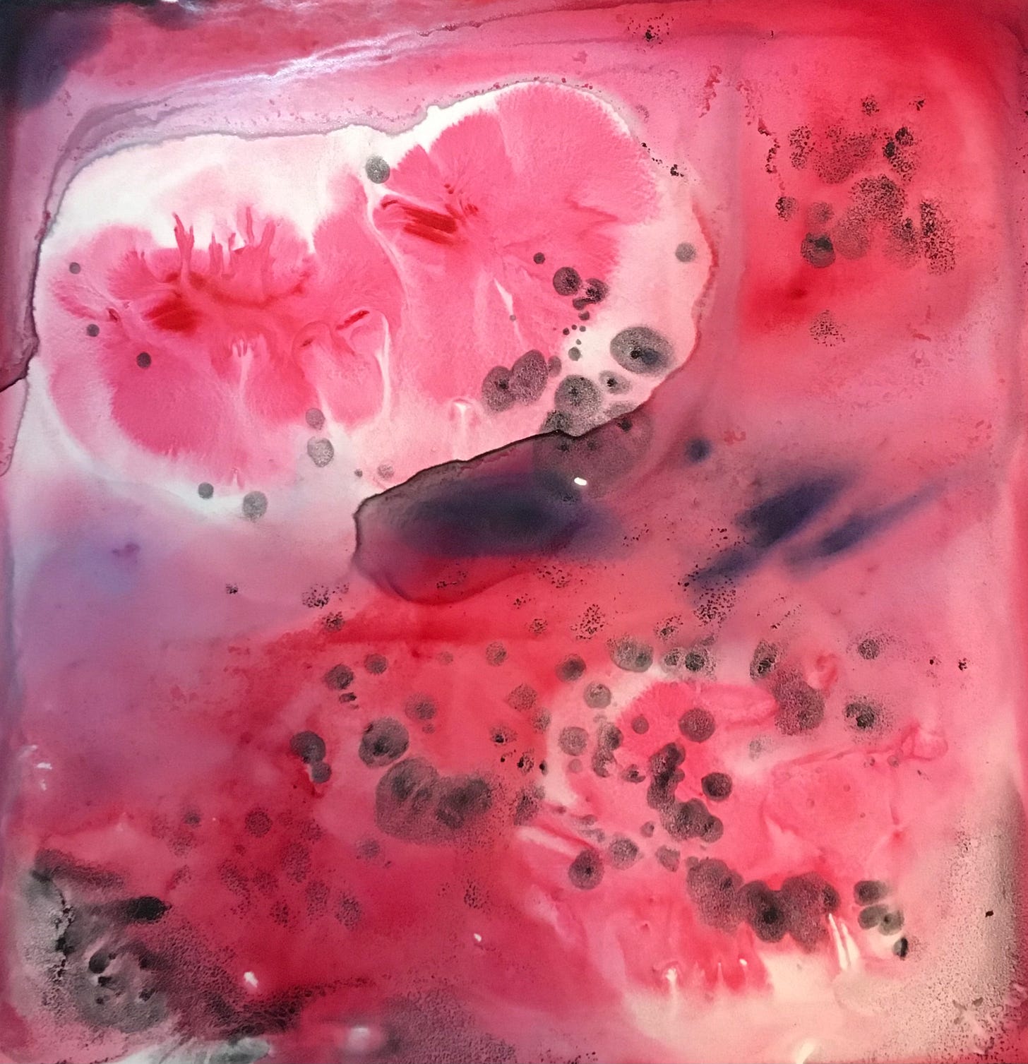 Exposing Bigotry - by Dru Duffey - Dru’s Substack